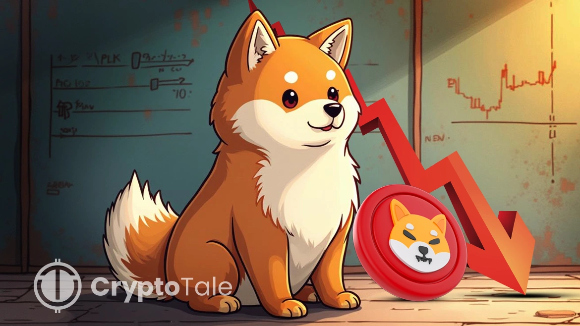 Shiba Inu Uncertain Future: Will It Rise Again or Fade Away?