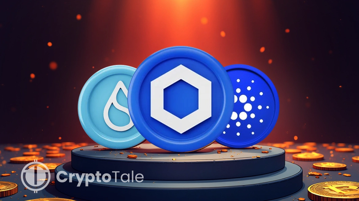 Chainlink, Cardano, and Sui Traders Watch Key Price Levels