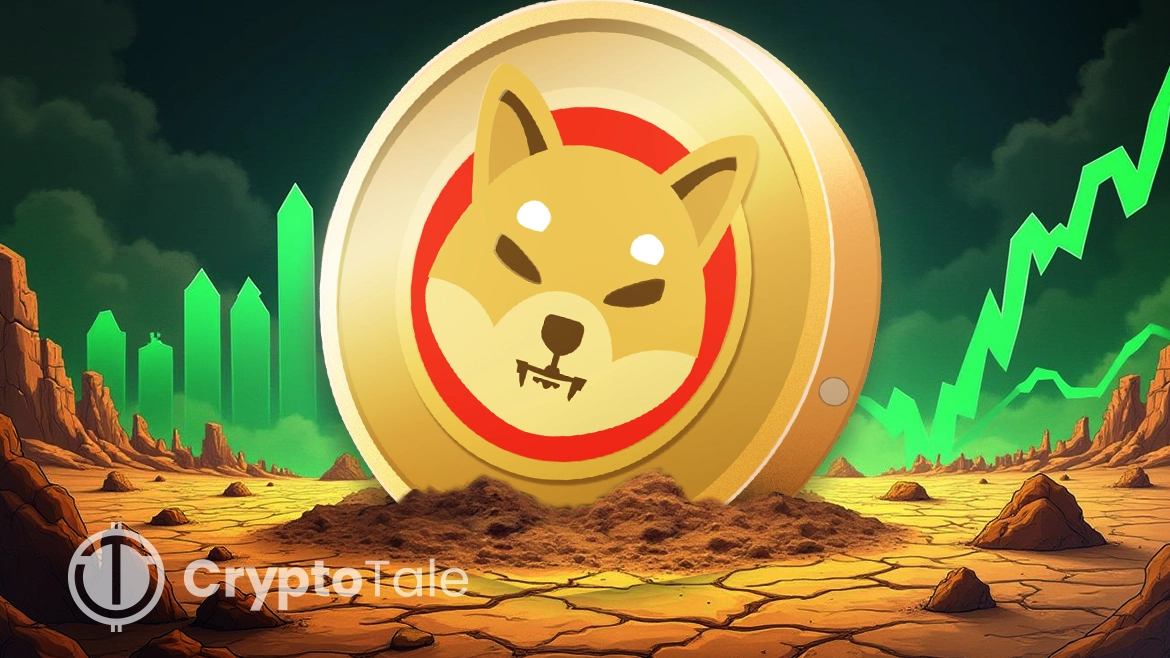 SHIB’s Downward Pressure Grows: A Breakdown Below Support